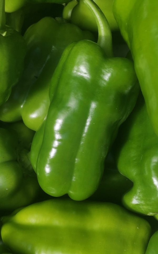 Poivron vert bio - Le Comptoir de Mormal